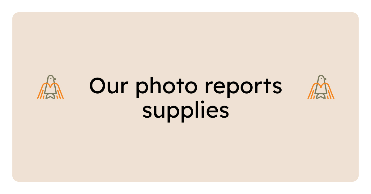 Photo reports | Reactive Post Photo reports | Reactive Post